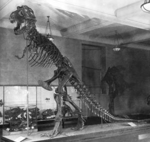 The Transformation of T. rex • jonathanemmett.com